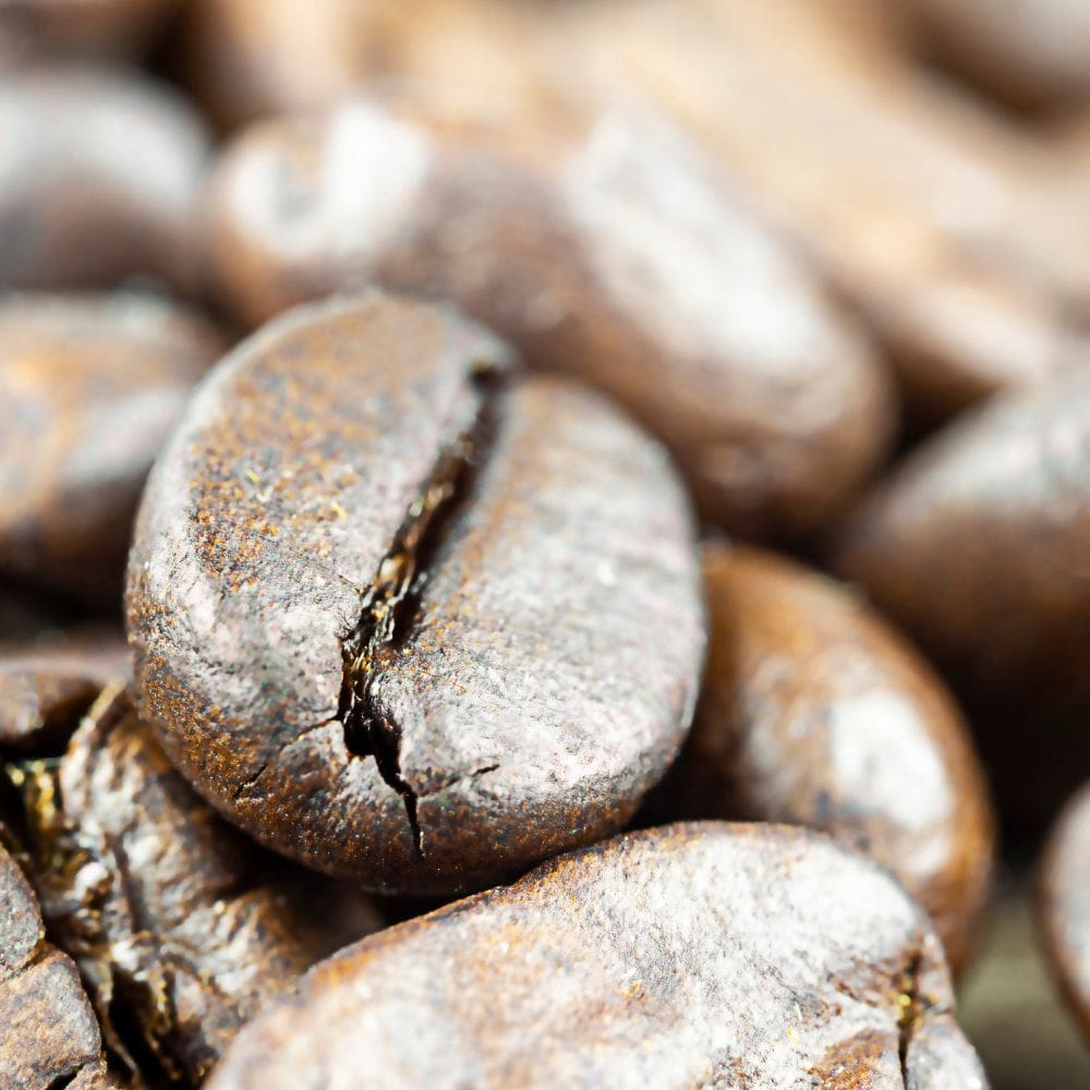 News - 5 Health Benefits of Drinking Low Acid Coffee Regularly